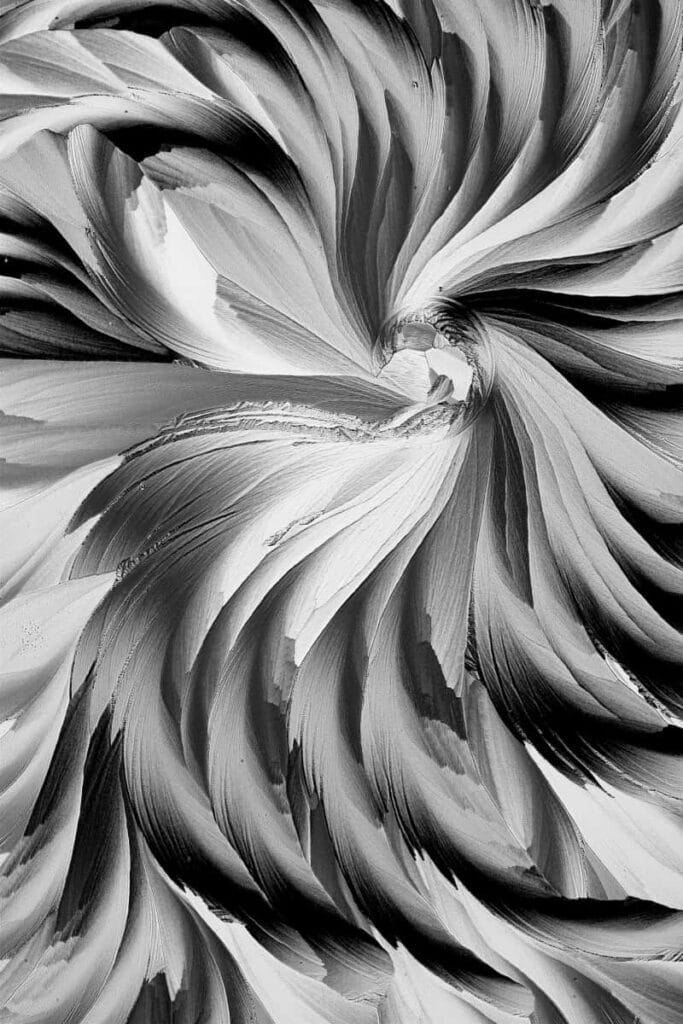 MonoVisions Photography Awards 2024 Winners: Black and White Brilliance ...