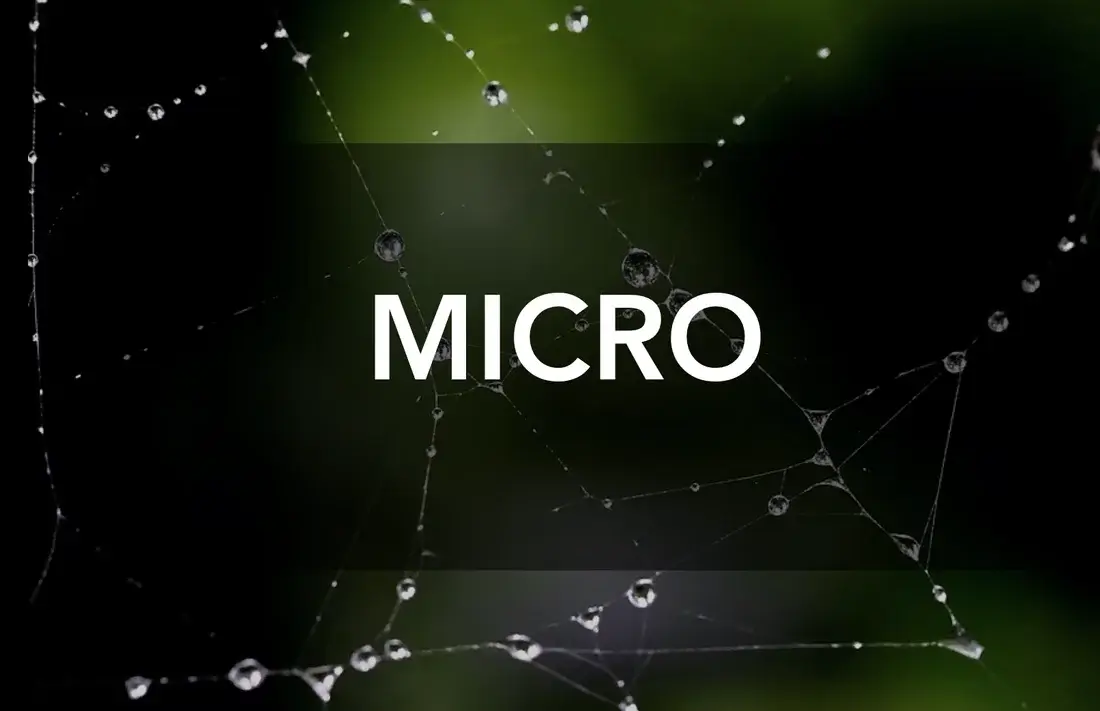 Micro Photography Contest by NAT PHOTO SOCIETY - Deartline